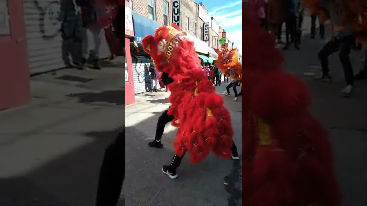 Chinese  dragon  in Brooklyn