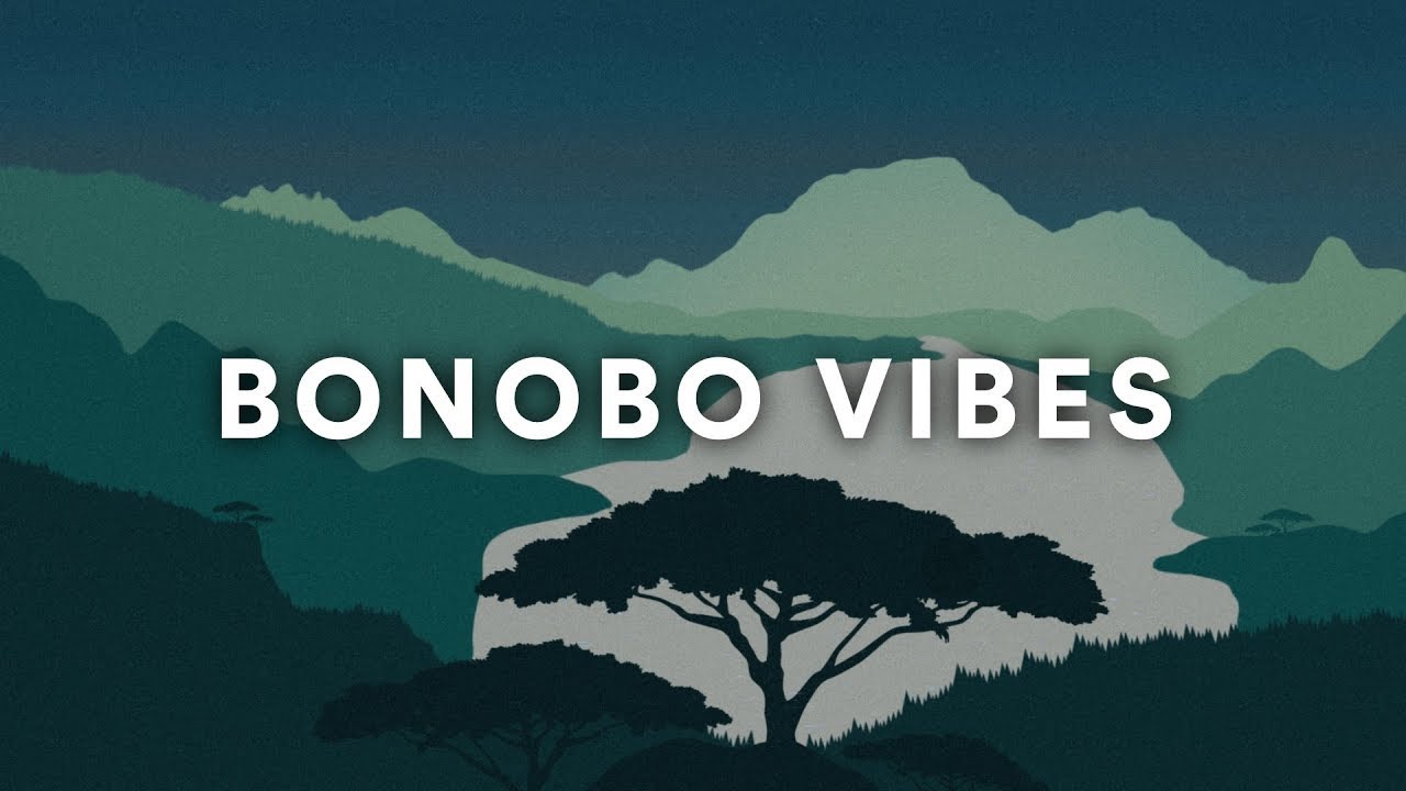 BONOBO VIBES | CHILL MIX | STUDY | RELAX