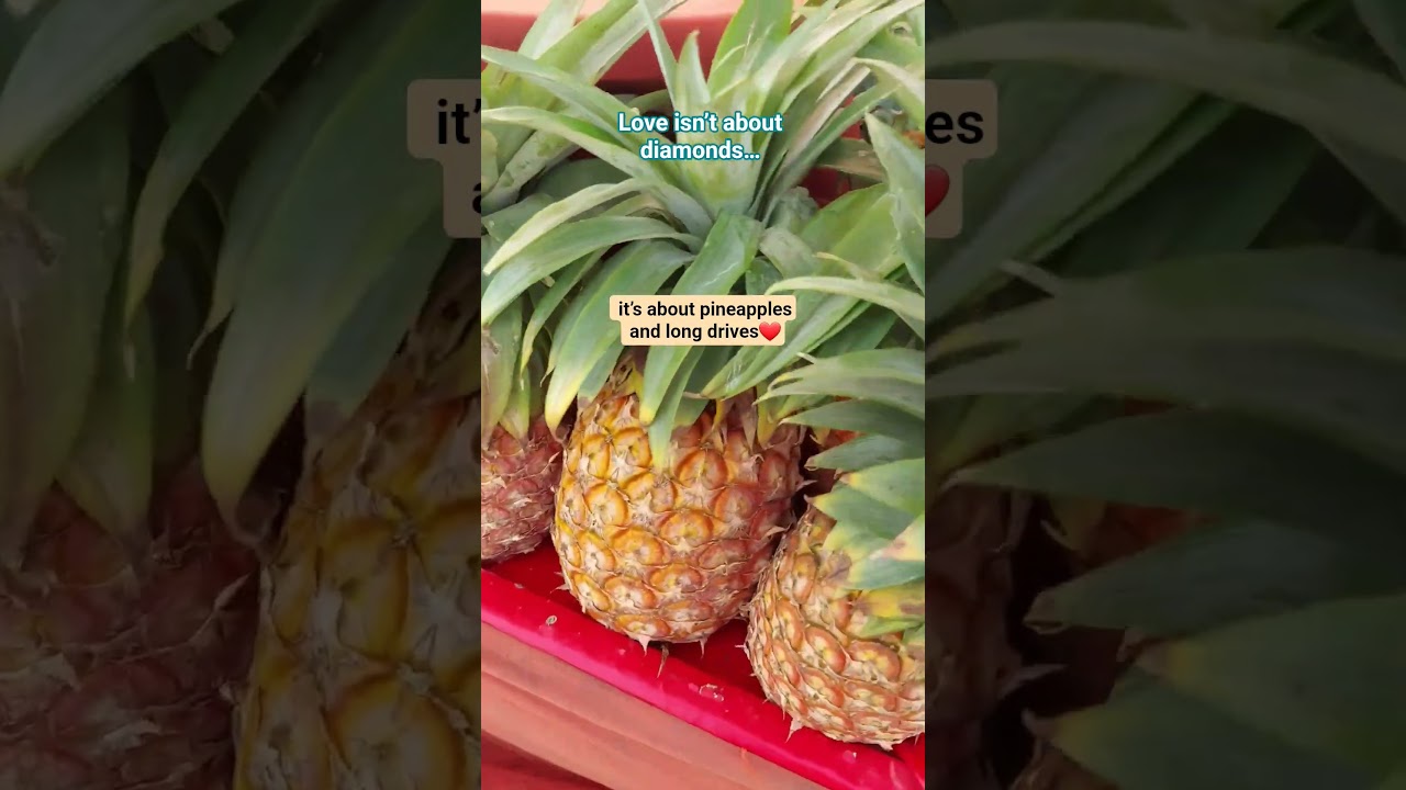 Love- Pineapples❤️