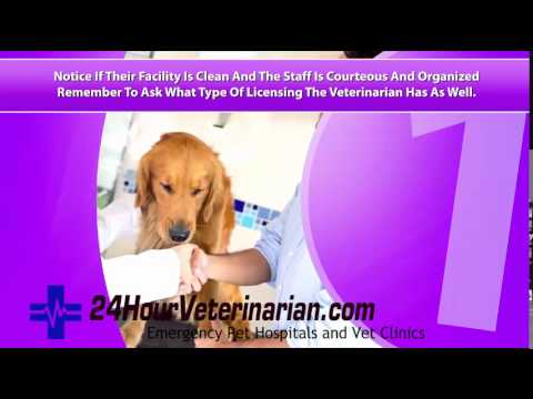 24 hour veterinary clinic