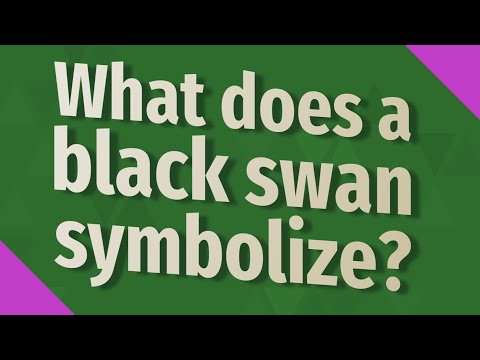 What does a black swan symbolize?