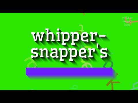 How to say "whipper-snapper's"! (High Quality Voices)