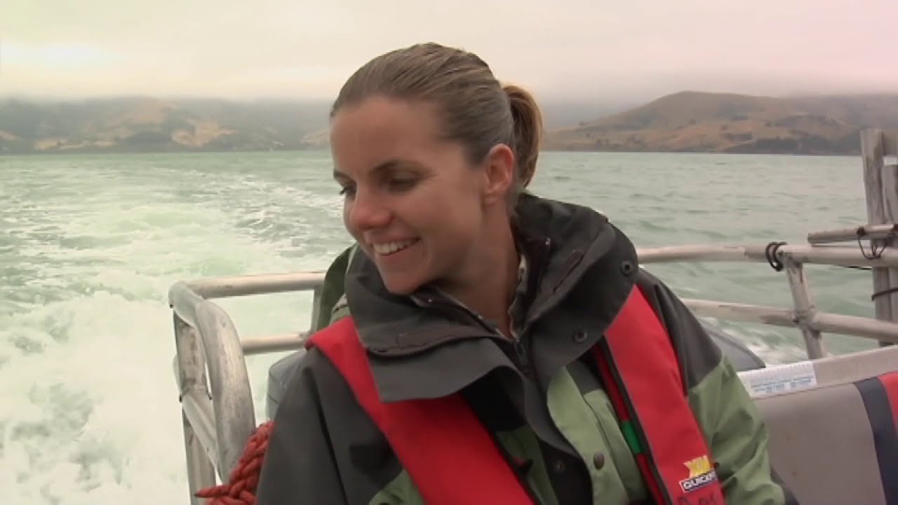 Meet the Locals: Hector's dolphin