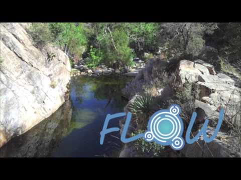 Join the Flow with WMG!