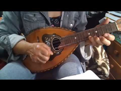 ANTIQUE 12 STRING GERMAN BOWL BACK MANDOLIN**SEE VDO** | Reverb