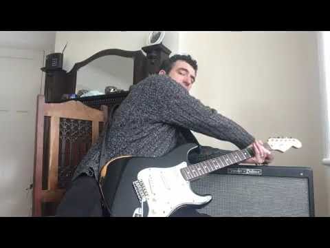 Dr Watson Effects loop master volume control for Fender Hot | Reverb