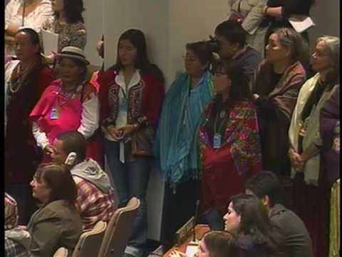 Lipan Apache Women Defense an Indigenous Peoples’ Organization (United ...
