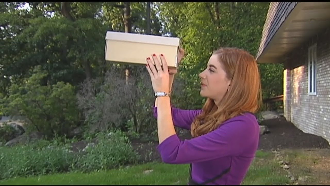 Create your own safe eclipse viewer