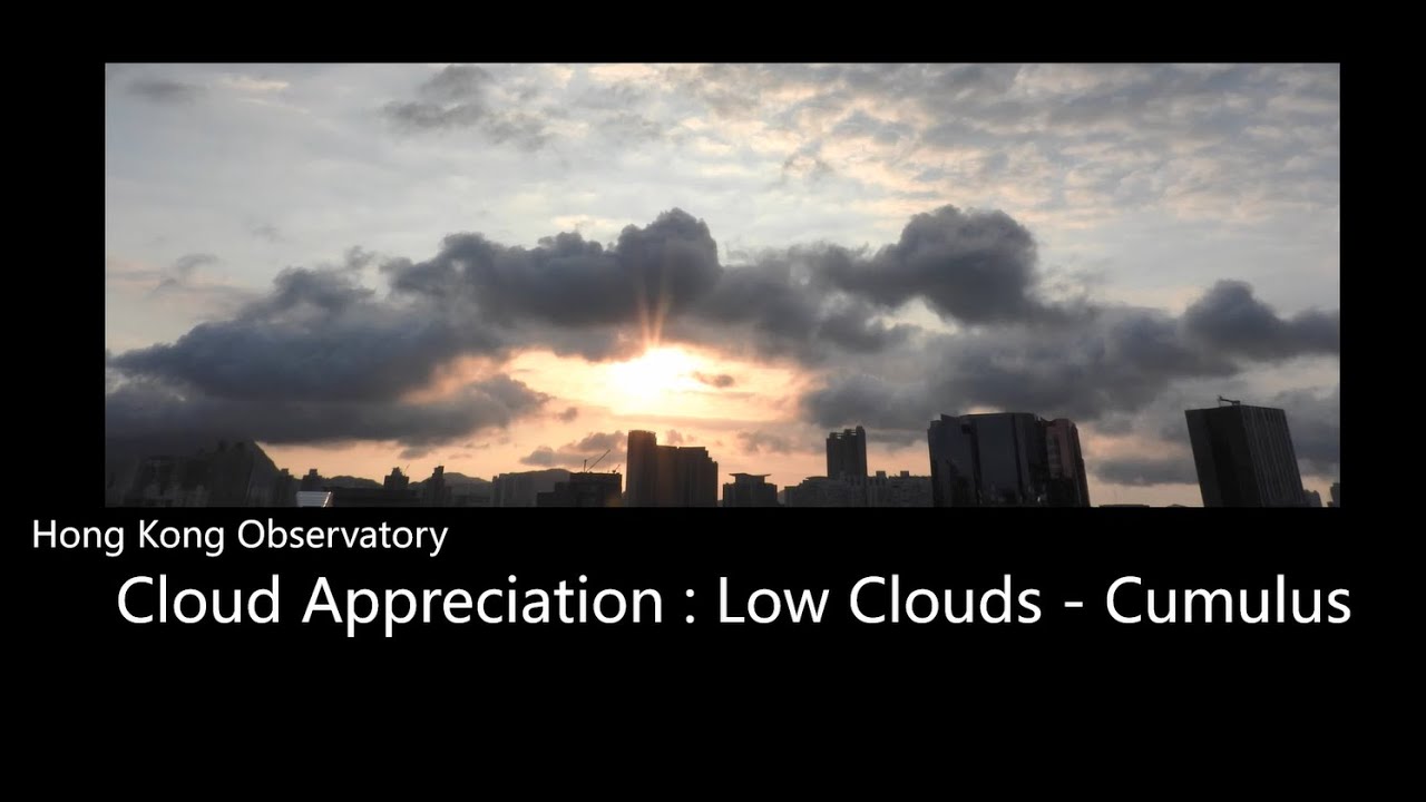 Cloud Appreciation: Low Cloud - Cumulus