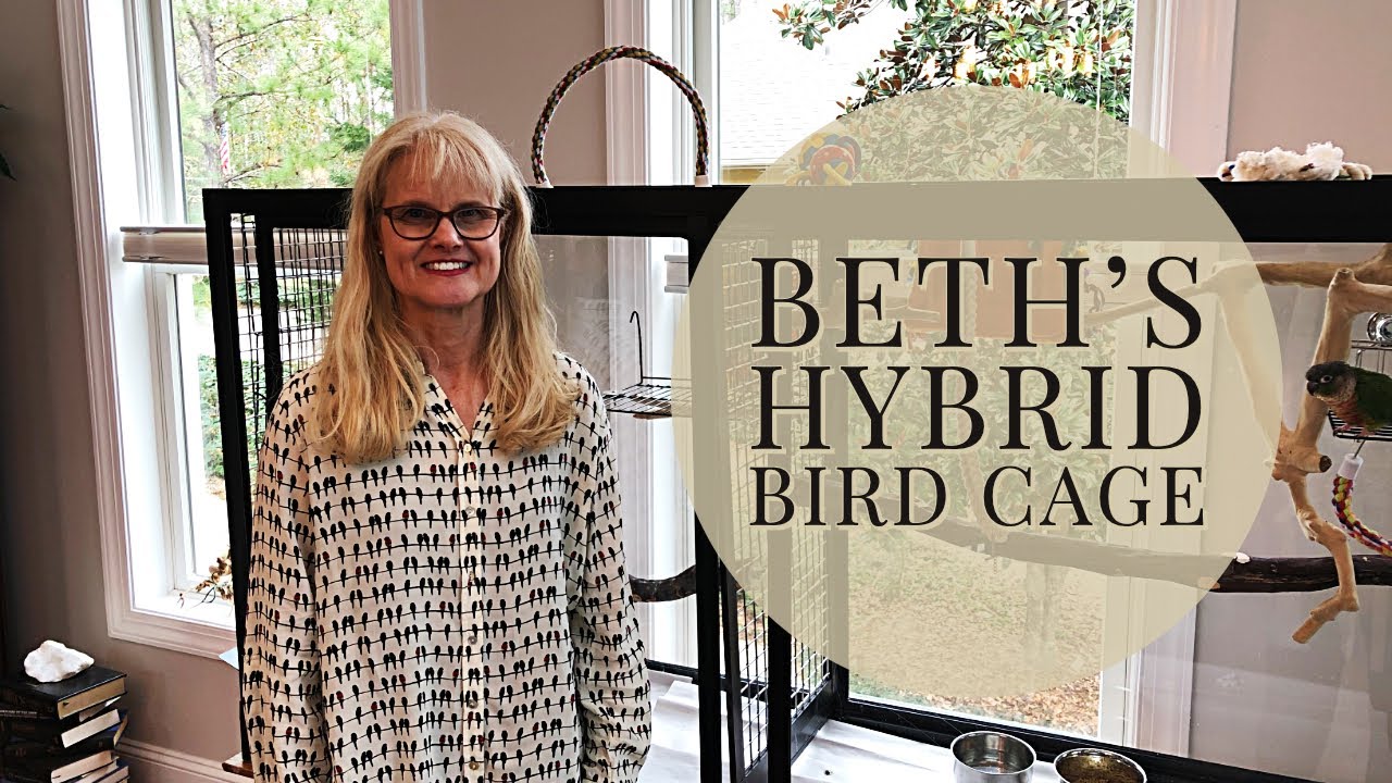 Beth's Hybrid Bird Cage