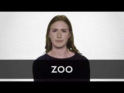 How to pronounce ZOO in British English