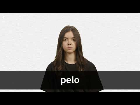 English Translation of “PELO” | Collins Spanish-English Dictionary