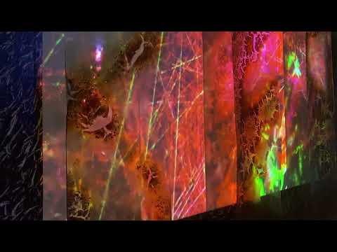 illusion of separation – DEBORAH GEPPERT