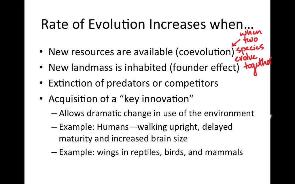Evolutionary Patterns: Macroevolution, Analogous, Homologous, and Vestigial Structures
