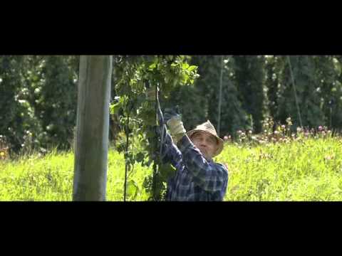 Reclama Bere Bucegi – 100% ingrediente românești | Publicitate românească