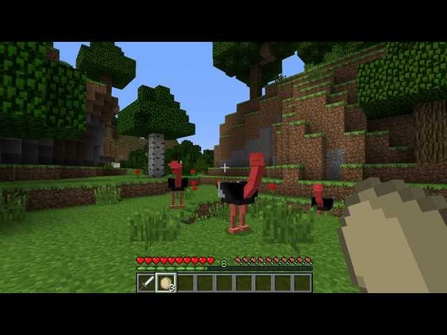 Birds Mod Beta 0.9 Minecraft Mod