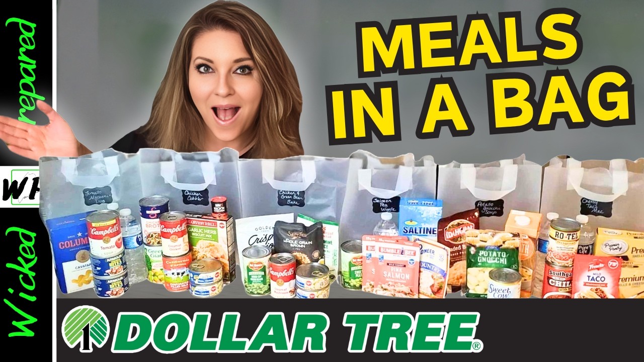 chicken-chili-verde-dollar-tree-meal-in-a-bag - Meal in a Bag