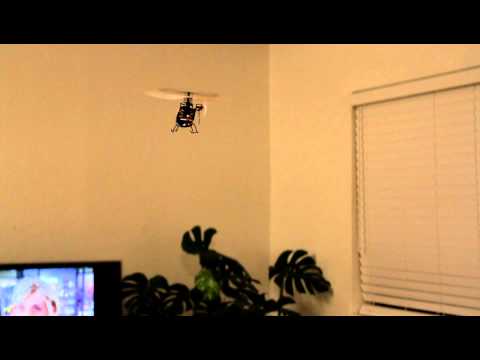 Test flight of Jiuchon 4 channel single rotor (Not Co-axial) RC helicopter. Dog vs helicopter