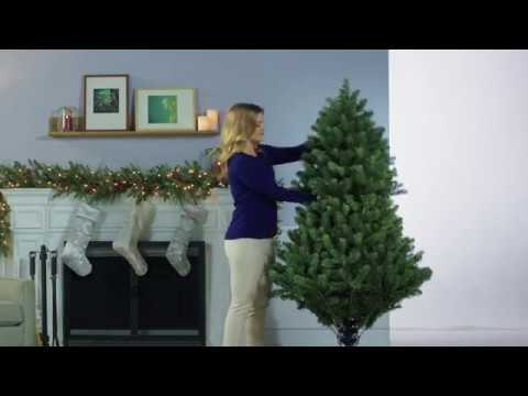 The Grow & Stow Christmas Tree Puts Itself Up
