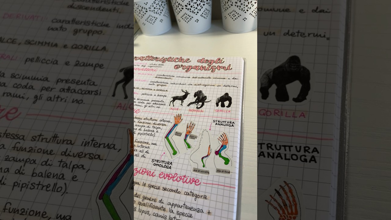 My biology notes📓 #aestheticnotes #backtoschool
