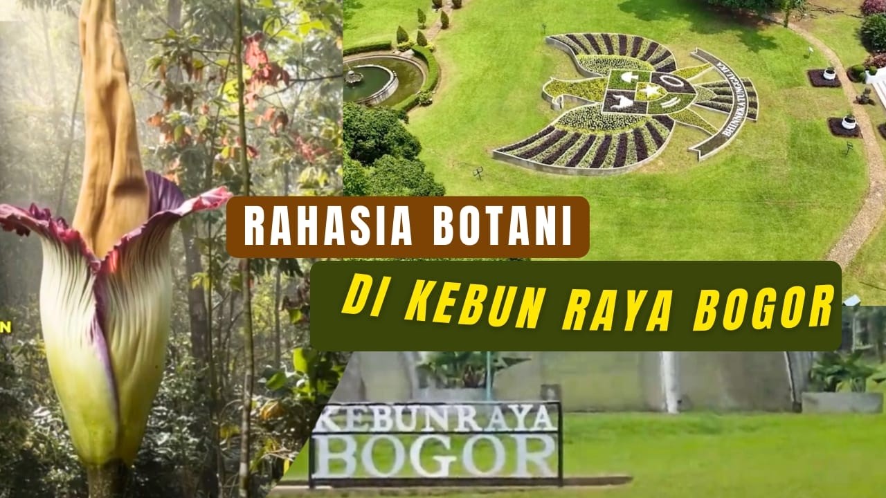 KISAH TANAMAN DI KEBUN RAYA BOGOR