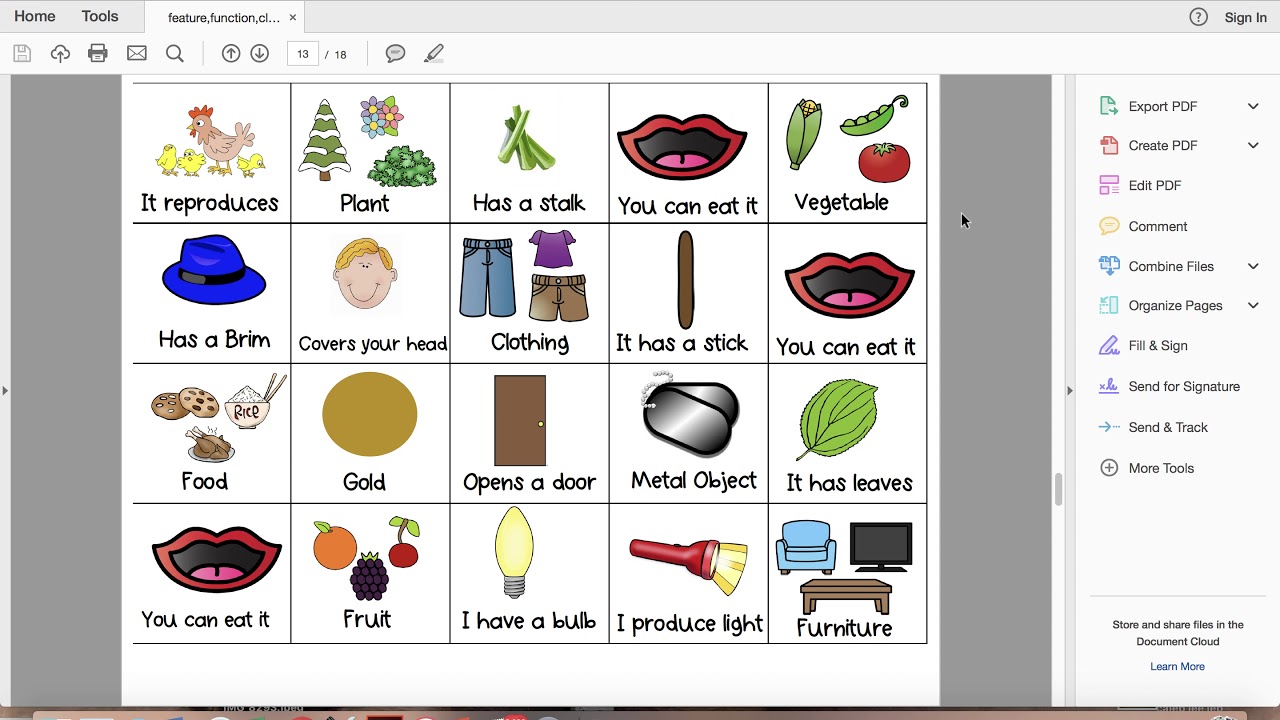 Feature, Function and Class Sorting Strips