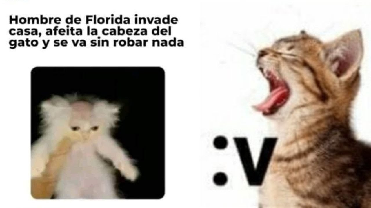 Memes Random muy Kgue de Risa #03 | Shitpost & memes Compilation