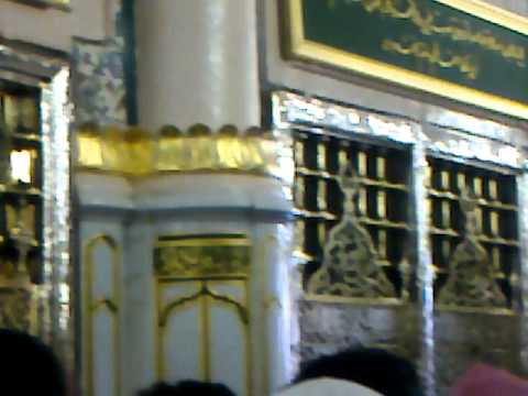 madina sarif hrms