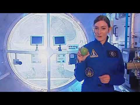 VIDEO Le leggi della Dinamica AMALDI ZANICHELLI