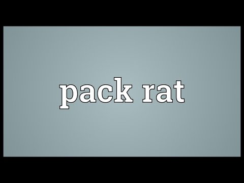 Pack rat Meaning