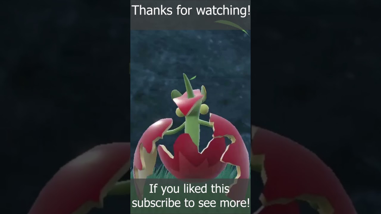 Pokemon Scarlet Extras - You Good Koraidon!? #Shorts