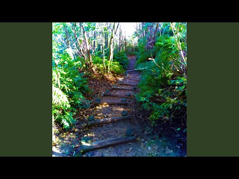 Sacred Place