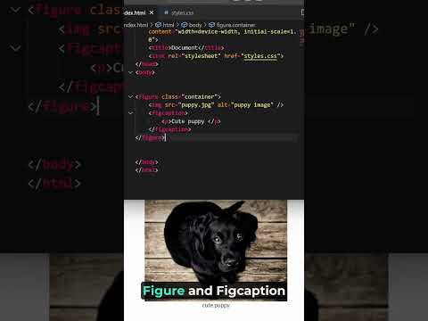 Figure Tag | HTML Tips #4