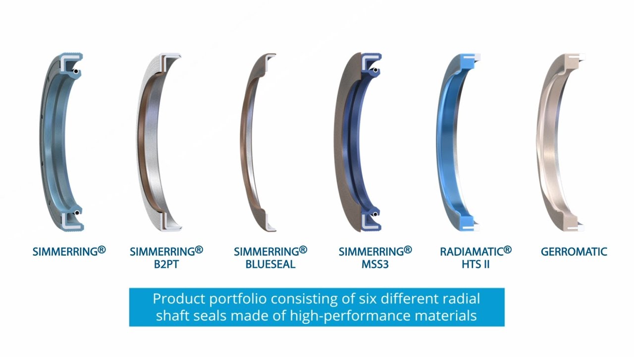 Radial shaft seals for the process industry