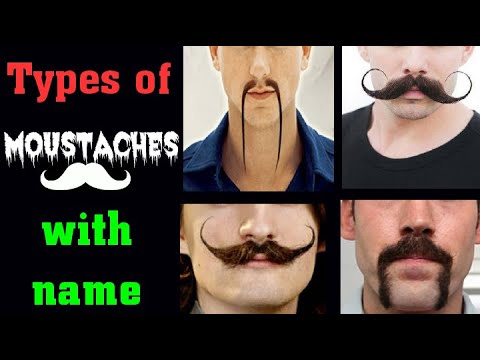 Types Of Moustaches With Name/mustaches name/Mustache Styles