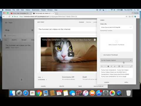 How to add videos to your Squarespace website