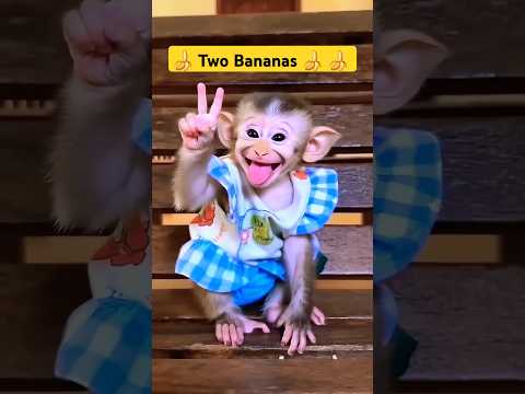 One Banana 🍌 Or Two Bananas 🍌 🍌 #shorts #funny #trendingshorts #viralshorts