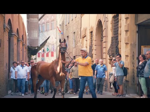 #GoogleGrandTour The Grand Tour of Italy