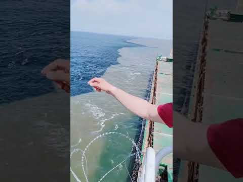 two ocean meet but do not mix | oceans meeting but not mixing quran | Anas Afridi