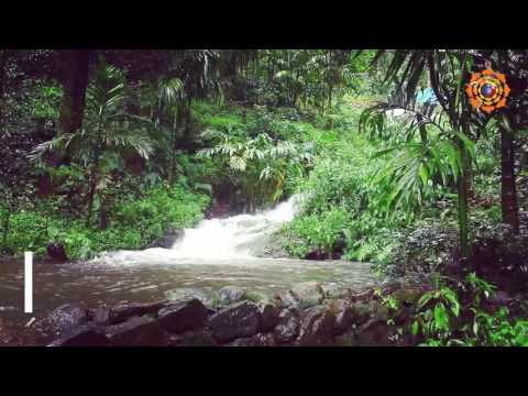 The Journey of Yoga in Coorg with Grand Master Akshar