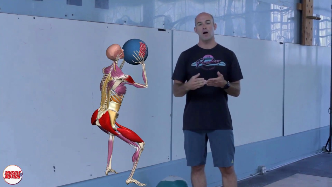 The Wall Ball | Anatomical analysis