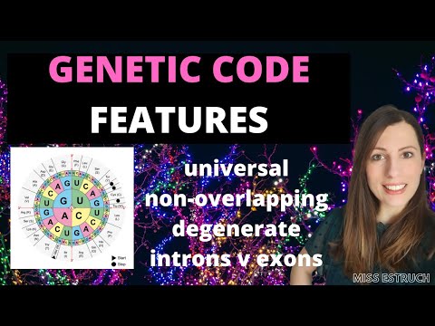 Features of the GENETIC CODE: A-level Biology. Degenerate, non-overlapping and universal.
