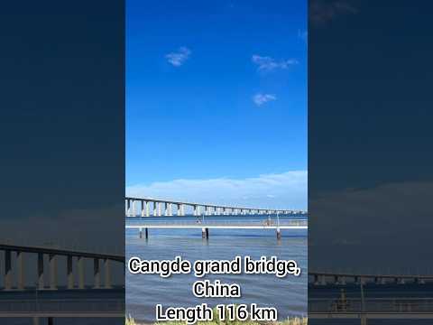Longest Bridges on Earth by Length! #shorts