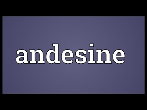 Andesine Meaning