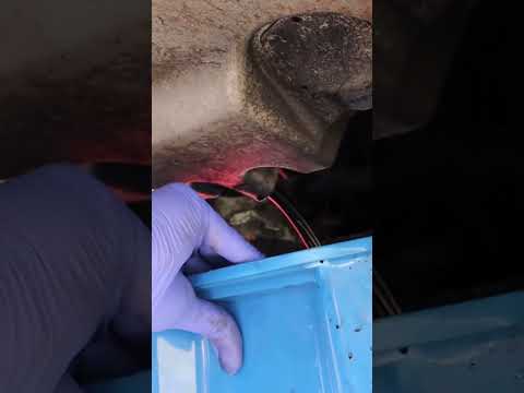How to do a full service - 2.0 Tdi - Part 13
