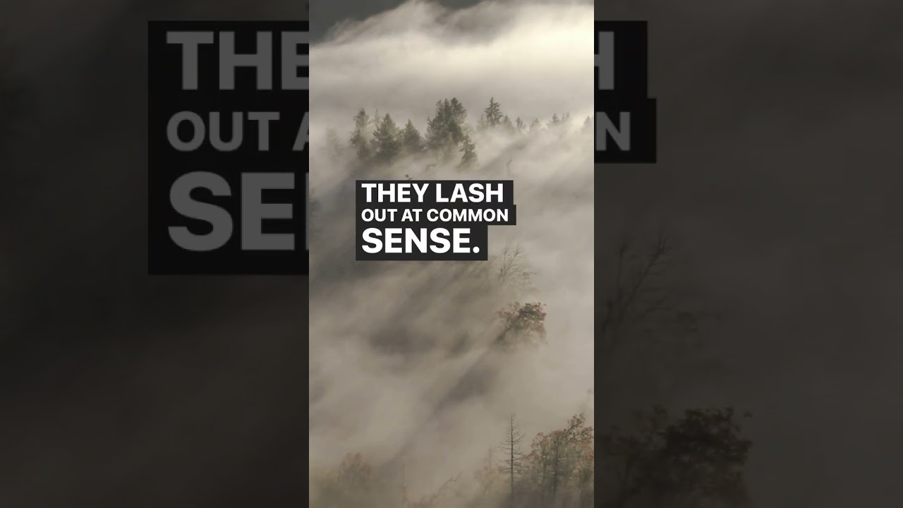 Read the Bible Proverbs 18:1-3 ✝️ 📖 #shorts