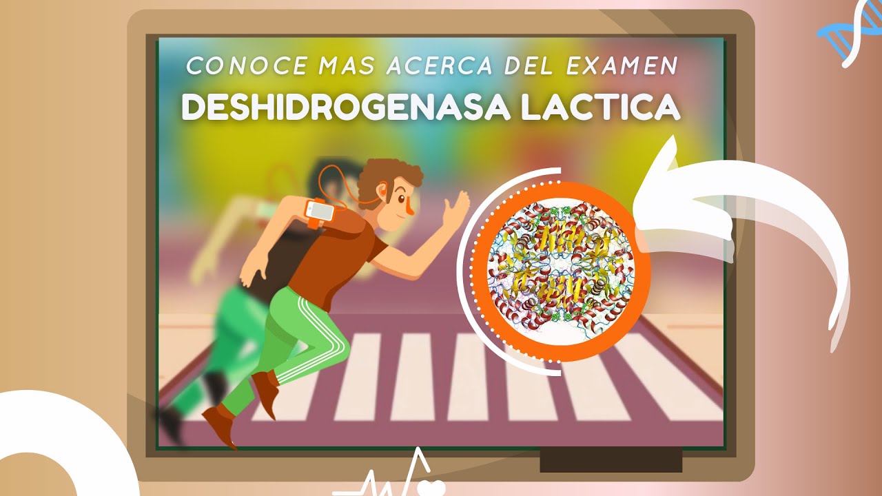 🔴 CONOCE MAS ACERCA DEL EXAMEN DESHIDROGENASA LACTICA (DHL)