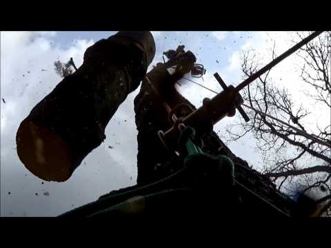 RC 2000 Catching logs. R.C. Tree Services Victoria BC