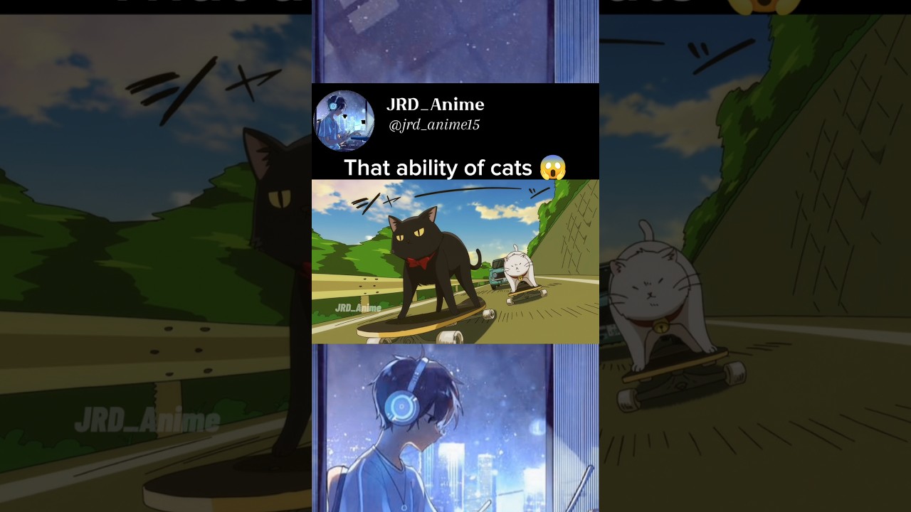 That ability of cats 😱