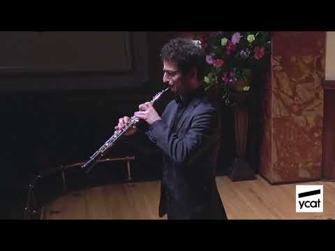 Olivier Stankiewicz - Silvestrini, Etudes, iii. Boulevard des Capucines